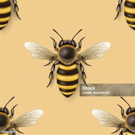 노란색 배경에 3d 사실적인 상세한 꿀벌 아이콘 근접 촬영이 있는 벡터 원활한 패턴 여왕 꿀벌 디자인 템플릿 매크로에서 꿀벌의 벡터 그림 평면도 벌에 대한 스톡 벡터 아트