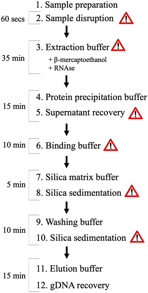 Flowchart Of The Twelve Steps Of Silex Dna Extraction Method And Timing Download Scientific