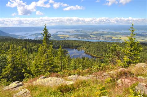 Utsiktstur Til Gyrihaugen Fra Damtjern Utno