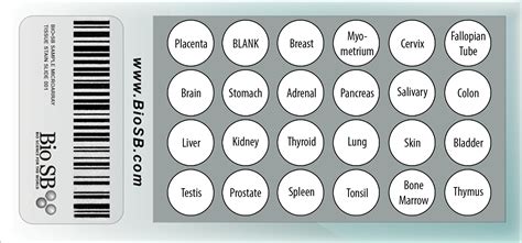 Normal Human Tissue Microarrays