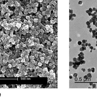 A SEM Image B TEM Image Download Scientific Diagram
