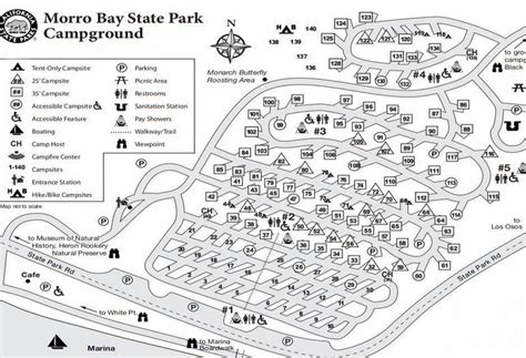 Discover The Beauty Of Morro Bay State Park Camping Adventure