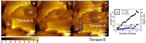 Figure 2 From The Effects Of Strain On Stm Lithography On Hs Ssdna Au 111 Surface Semantic