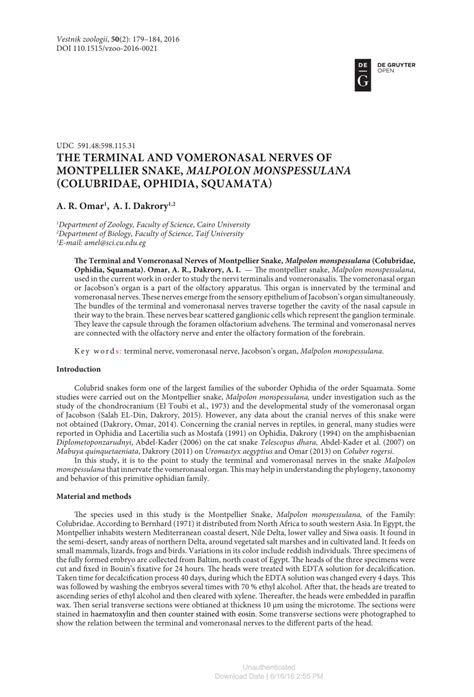 Pdf The Terminal And Vomeronasal Nerves Of Montpellier Snake