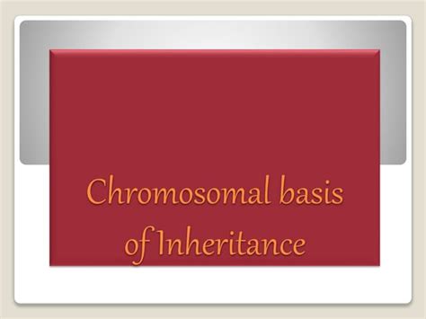 Sex Linked Inheritance Sex Influence Inheritance And Sex Limited Characters Pptx