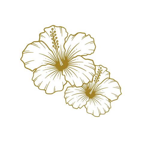 Premium Vector Hand Drawn Hibiscus Flower Hibiscus Flower Line Art