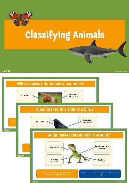 Classifying Animals Classification At The Australian Curriculum