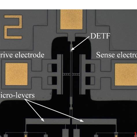Ding Wen Shanghai Jiao Tong University Shanghai Sjtu Nursing Research Profile