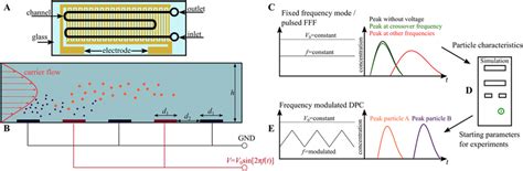 A Top View Of The Microfluidic Device Sketch B The Microfluidic Download Scientific