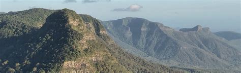Mount Mitchell Trail Queensland Australia 778 Reviews Map Alltrails