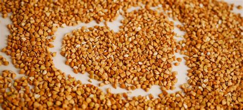 Buckwheat Health Benefits