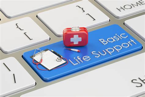 Can You Get Basic Life Support Certification Online The Small