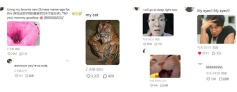 Issue Fixed Rednote Not Sending A Verification Code Adspower