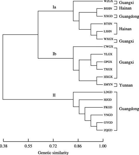 A Upgma Dendrogram Based On Neis Distance Showing Genetic
