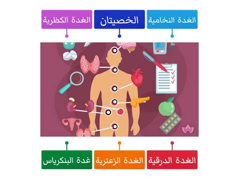 نشاط في درس امراض الغدد الصماء 2 Labelled Diagram