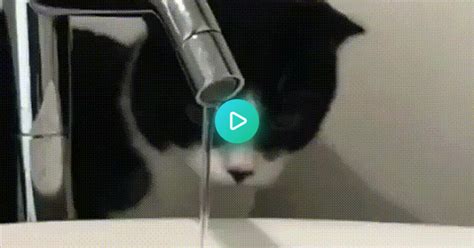 wtf keeps happening on imgur