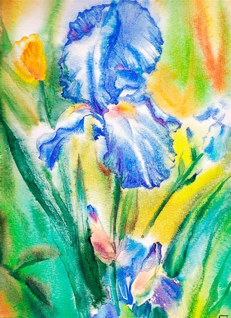 Как рисовать акварелью цветок ириса Урок 50 Youtube