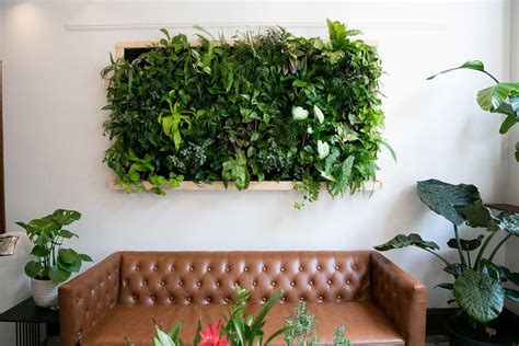 Living Wall Diy How To Create Your Own Vertical Garden Twigandthistle