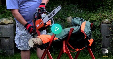 Not Today Chainsaw Man  On Imgur