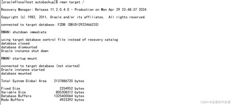 Oracle中rman的增量备份使用分享rman 增量备份 Csdn博客