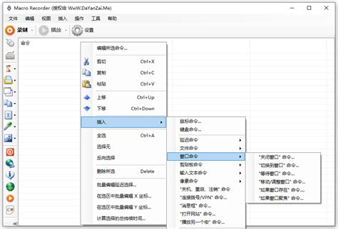 鼠标键盘自动点击器