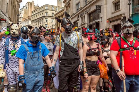 What Is Homonormativity