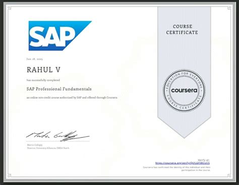 I Am Hapy To Announce That I Have Successfully Completed The Sap Professional Fundamentals