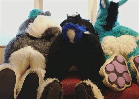 The Butts Of Skycabbit Gusgoat And Ragesergal R Fursuit Butts