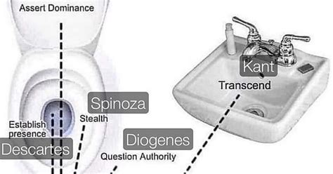 Ok Fourth Attempt I Love Imgur Dumps And I Hope You Doo Doo Too Big Sunday Edition Here We