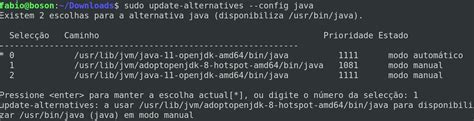 Como Instalar O Pacote Adoptopenjdk No Linux Debian Bóson
