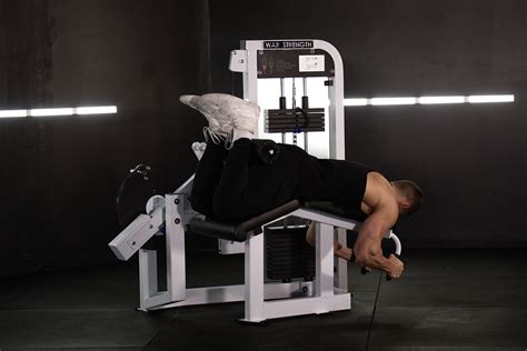 Lying Hamstring Curl War Strength