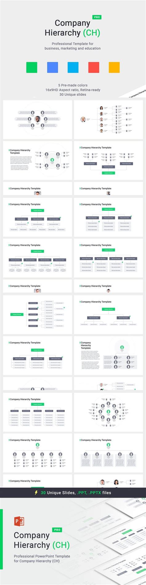 Company Hierarchy PowerPoint Powerpoint Hierarchy Templates
