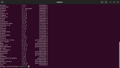 Python Cannot Run Spyder Which Installed On Conda Environment Stack