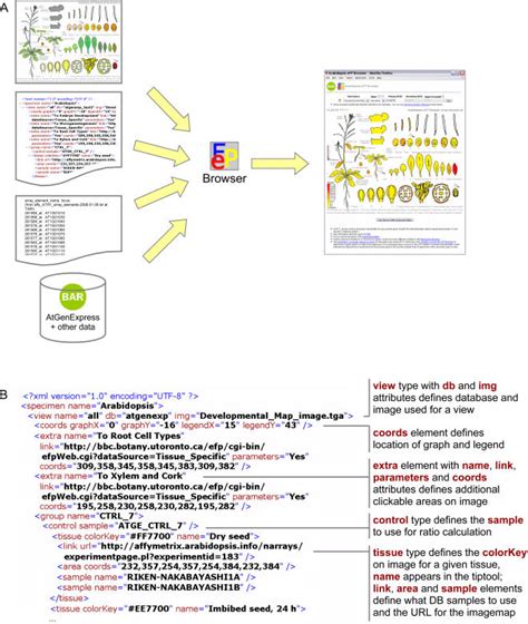 a schematic of browser inputs showing from top to bottom on the left