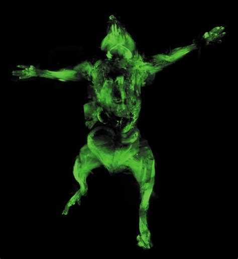 UDISCO New D Imaging Technology Allows For Close Study Of Internal Body Structure DPrint