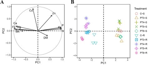 The Pca Loading Plot Which Visualises The Correlation Of Parameters