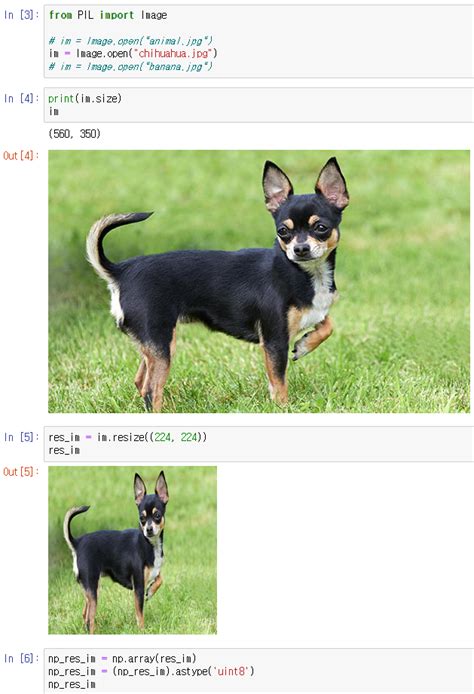 Github Joonb14tfliteclassification Tensorflow Lite Image