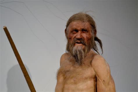 Ötzi The Iceman Doesnt Look Like Museum Displays Says New Genomic Study