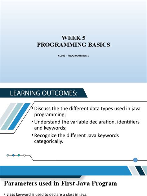 Cc102 Week 5 Lesson Programming Basics Pdf Variable Computer