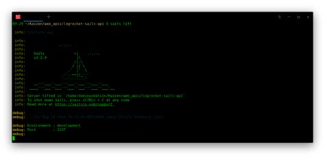 How To Build A Production Ready Node Js Web API Using Sails Js