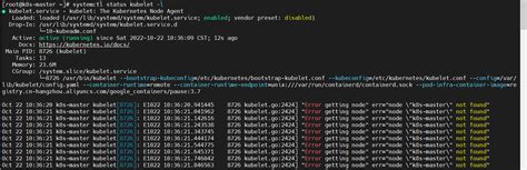 Kubeadm Init 初始化master节点踩坑合集【痛苦版】port 10250 Is In Use Csdn博客
