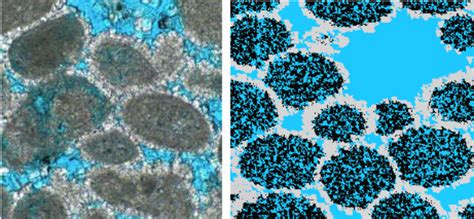 Left A Part L 0 6 Mm Of The Original Oolithic Dolostone Right Download Scientific