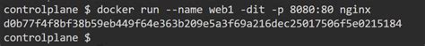 Docker Container Lifecycle Create Run Stop And Remove Containers