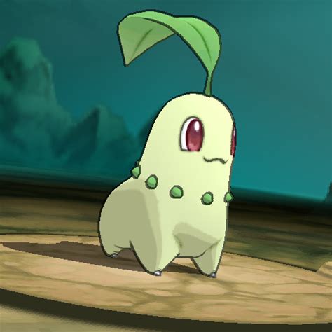 Chikorita Pokémon Oras Wiki