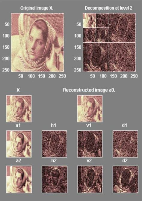 Three Scale Wavelet Decomposition For The Woman Image Download Scientific Diagram