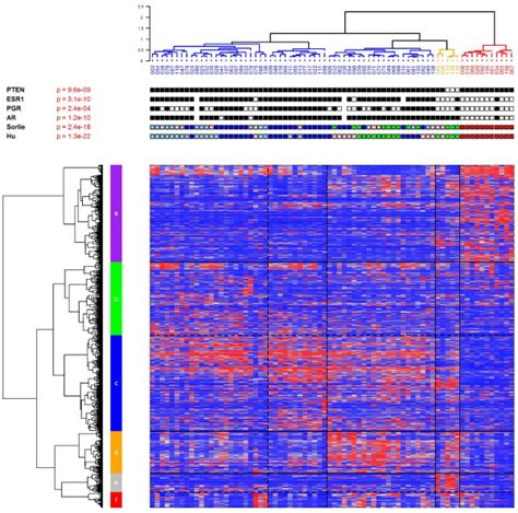Unsupervised Hierarchical Clustering Of Familial Breast Cancers
