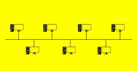Bus Topology Cable Type Olivia Mitchell