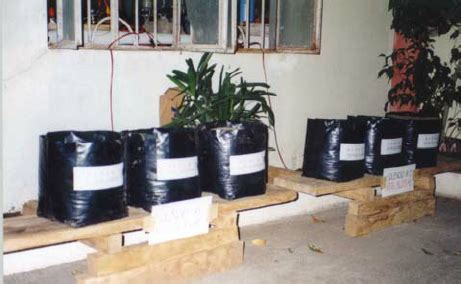 The Laboratory Set Up Download Scientific Diagram