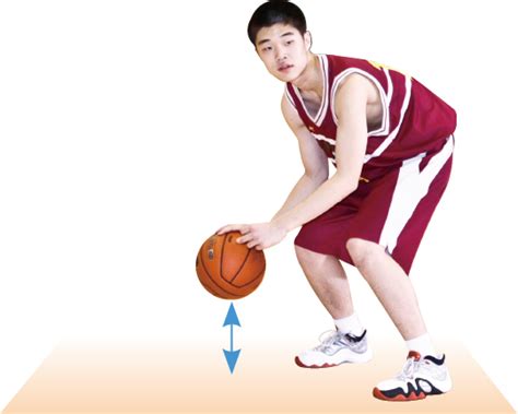 금성출판사 티칭백과