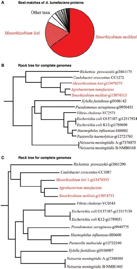 Comparisons With Fully Sequenced Genomes A Distribution Of Best Download Scientific